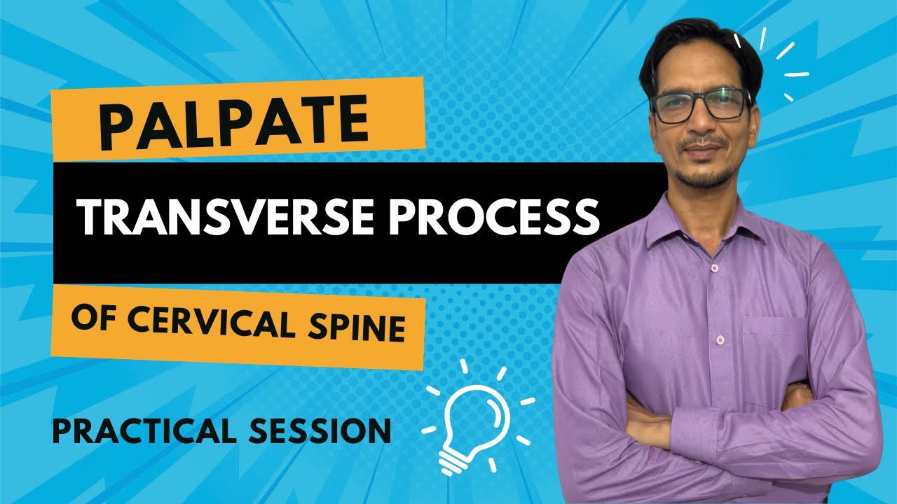 How to Palpate Cervical Transverse Processes | Neck Anatomy Tutorial ...