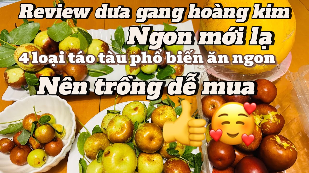 #81 chia sẻ 4 loại táo tàu phổ biến ăn ngon 🤪review 5 loại táo tàu ...