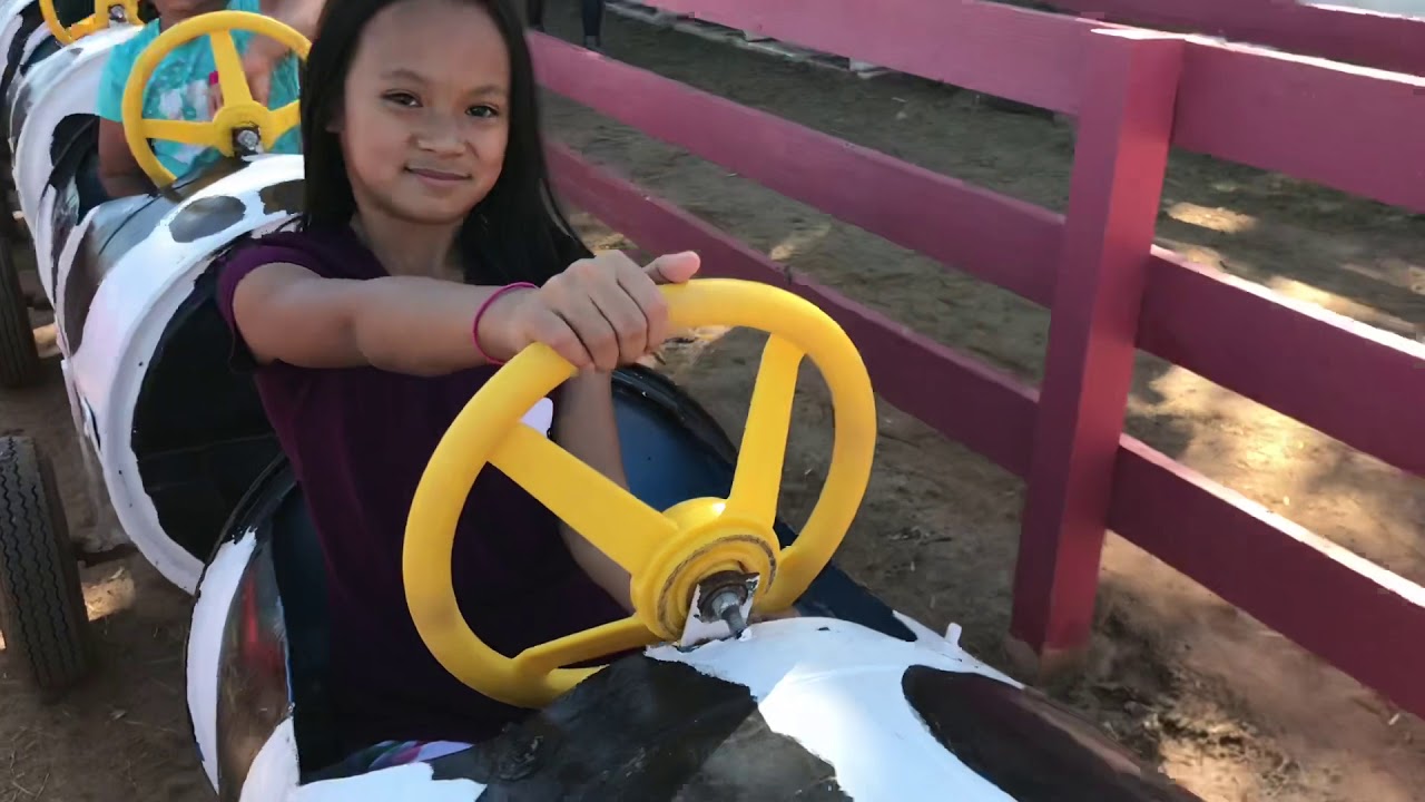 Jasmine school filed trip - YouTube