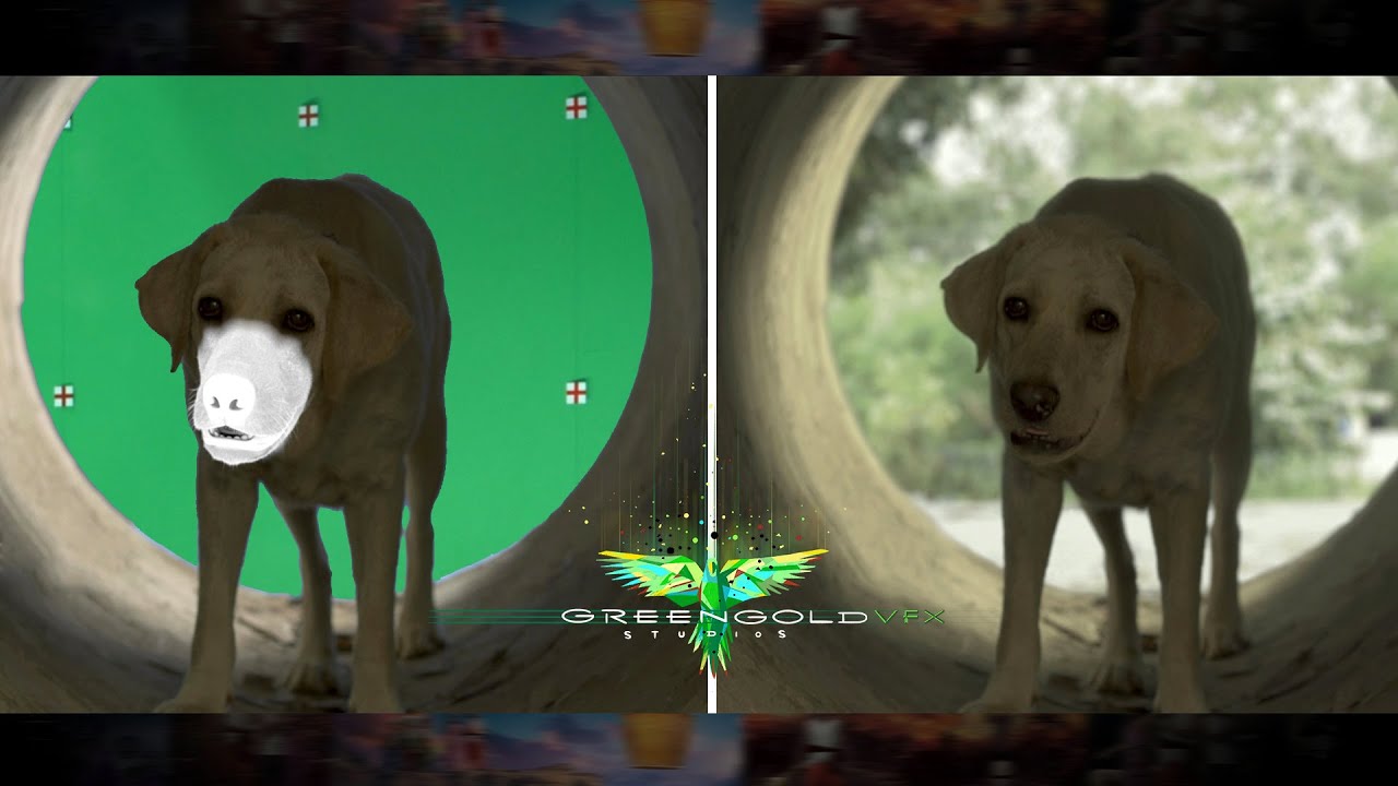 The Art of Talking Animals | VFX Editing | Green Gold VFX Studios - YouTube