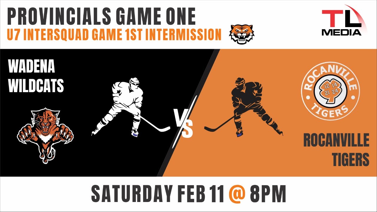 WADENA WILDCATS @ ROCANVILLE TIGERS FEB 11 @ 8PM - YouTube