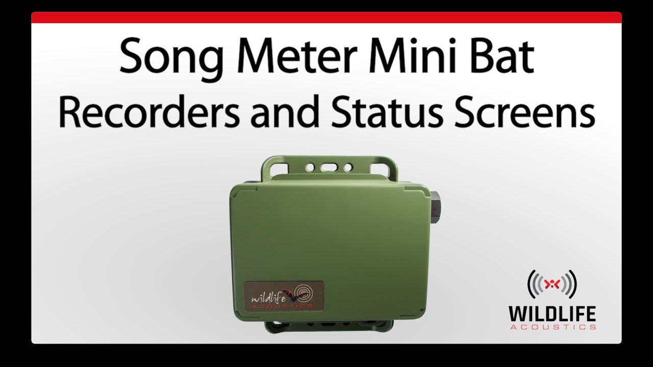 Song Meter Mini Bat - Recorders and Status Screens | Identify and ...