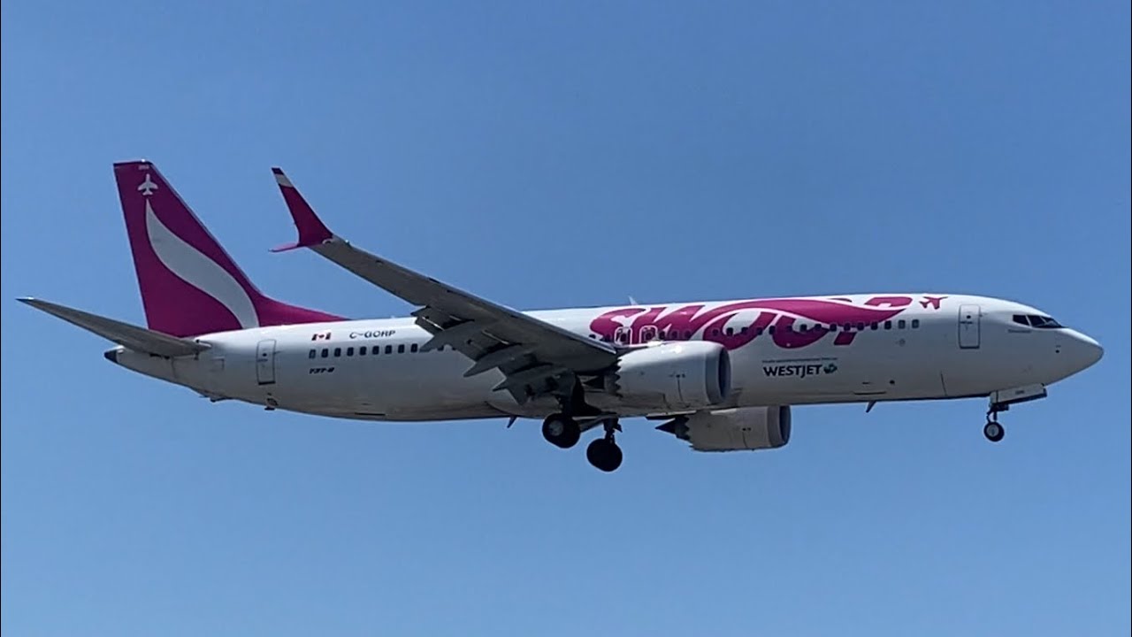 *RARE* WestJet (Swoop Livery) 737-MAX 8 [C-GORP] Landing at San Diego ...