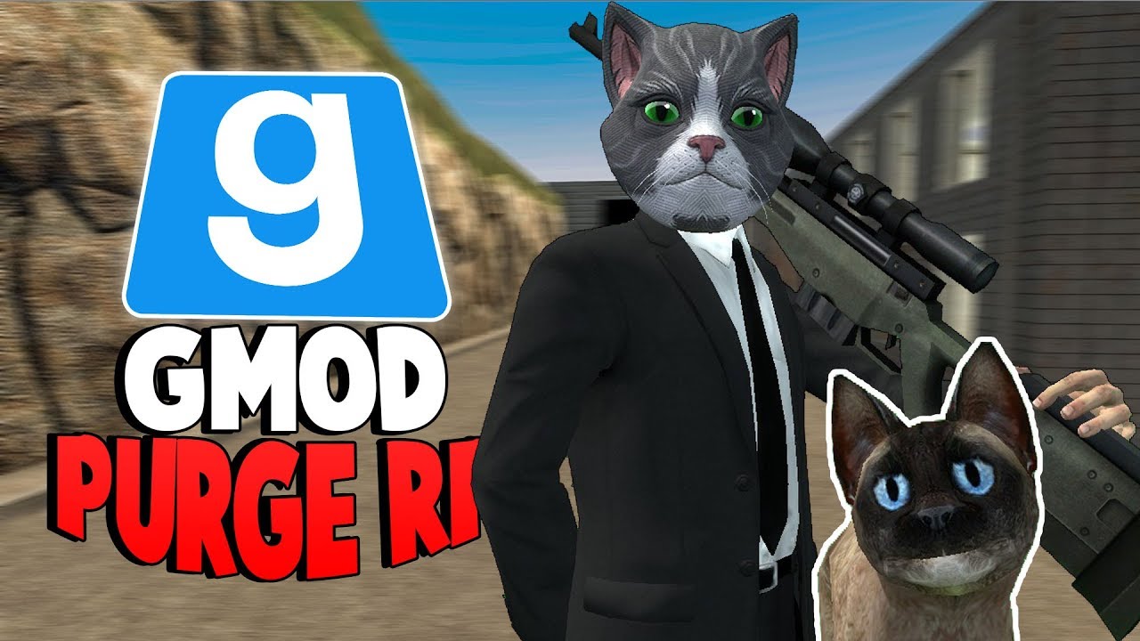 ME AND MY PURGING CAT - Gmod Purge RP - YouTube
