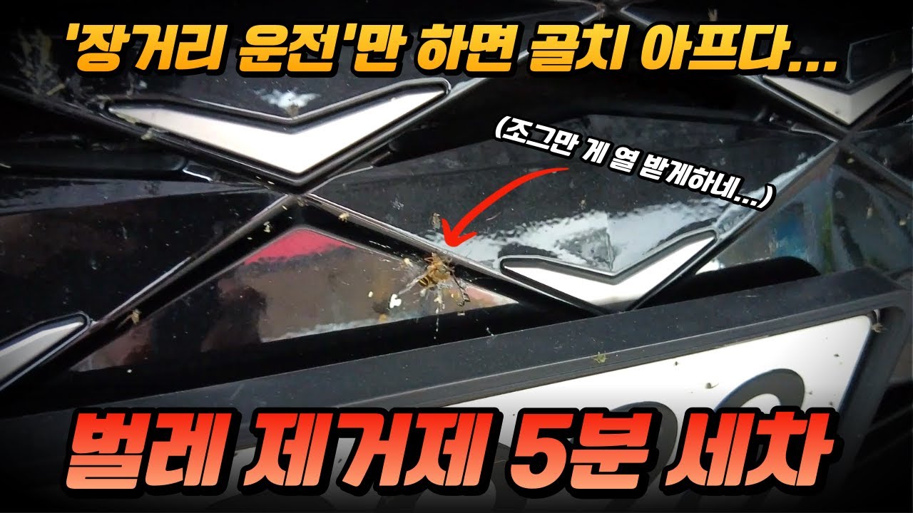 물 세차 전에 이거 하나만 뿌리세요 캠핑 장거리 운전 자주 하시는 분들 추천 클럽디테일링 세차 용품 온오프라인