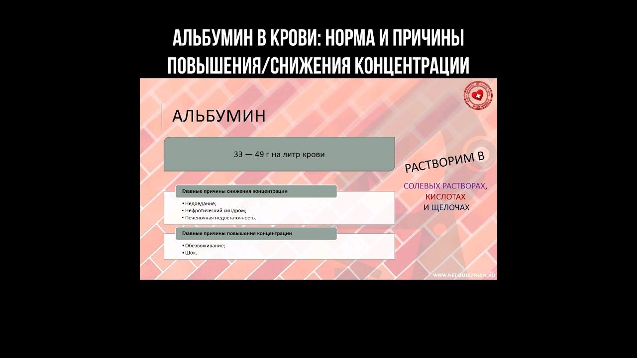 Альбумин в крови: норма и причины снижения/повышения концентрации # ...