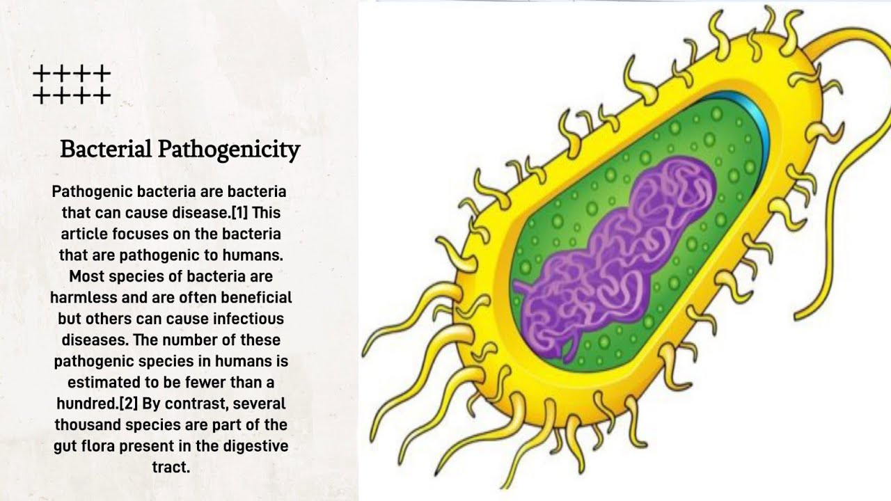 Bacterial Pathogenicity and virulence | bacterial pathogenesis | How ...