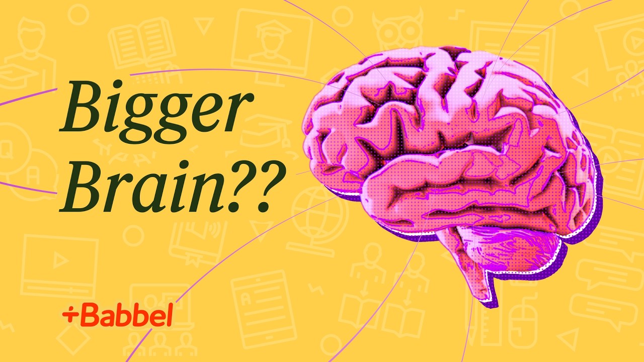 What Happens To Your Brain When You Learn a Language? - YouTube