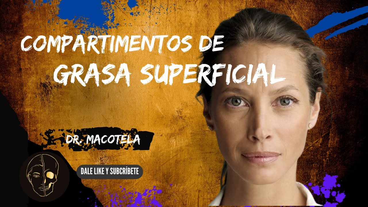 ANATOMÍA ESTÉTICA DE LA GRASA SUPERFICIAL - YouTube