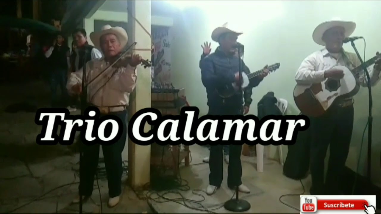 Trío Calamar El chile verde -Cecilia - YouTube