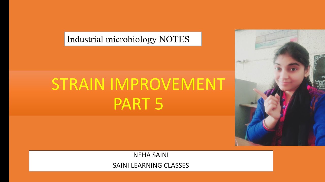 Strain Improvement (Recombinant DNA technology) Part 5| Industrial ...