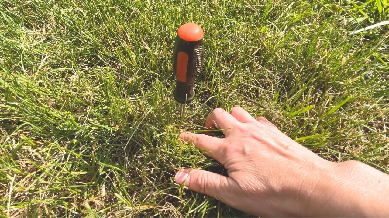Stick the screwdriver into the lawn. You'll quickly find out what he ...