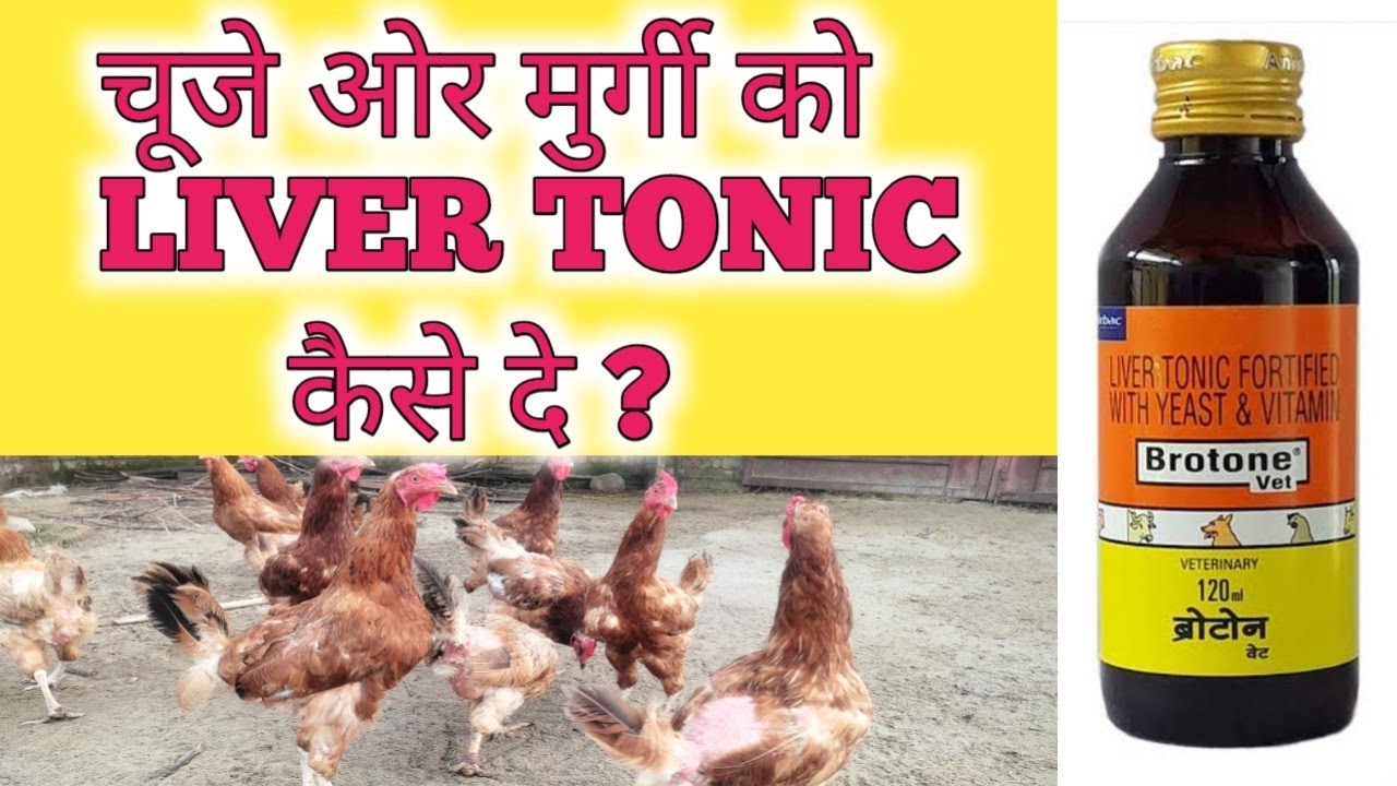 chicks or murgi ko konsa liver tonic de, Virbac Brotone Vet Liver Tonic ...