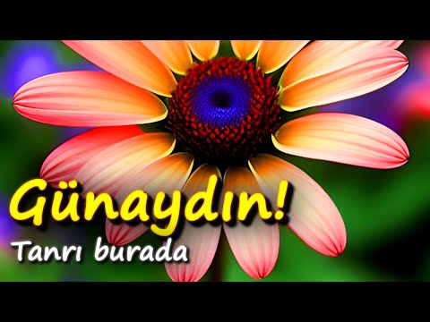 Günaydın | Tanrı her zaman seninle | Güzel Mesaj