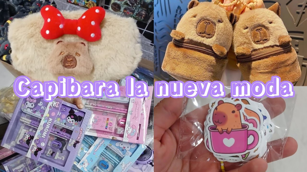 Lapiceras,monederos y stickers de capibara/ Gato Lucifer,lomo card y ...