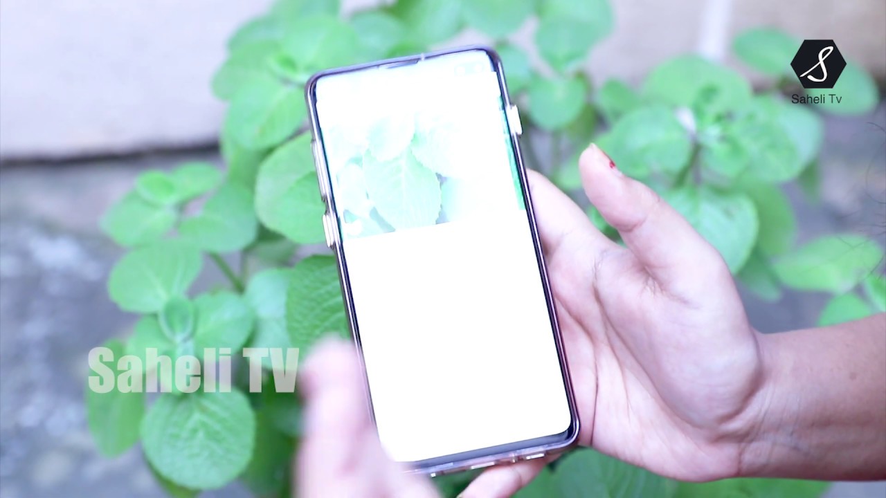 Plantnet | Pl@ntNet Helps You Identify Plants Through Your Pictures ...