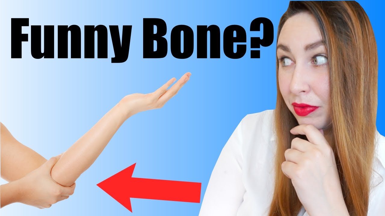 What’s a Funny Bone? (Word of the Day) - YouTube