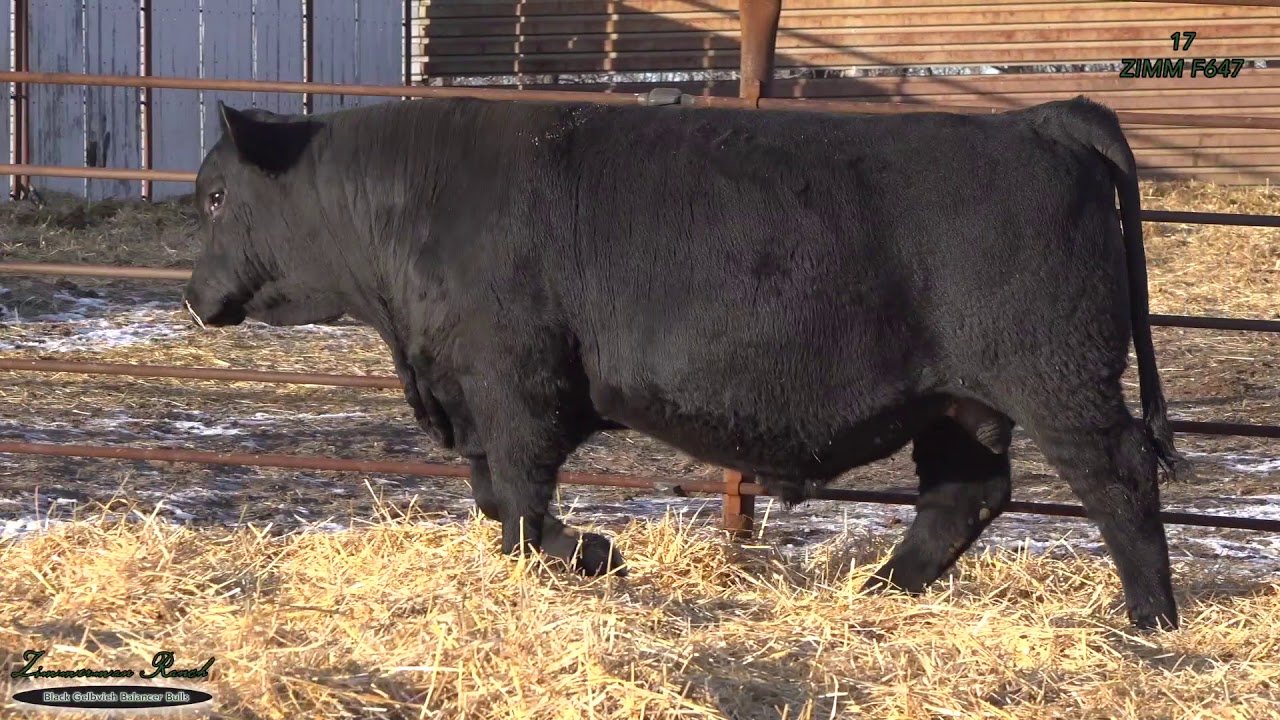 Zimmerman Ranch Lot 17 - YouTube