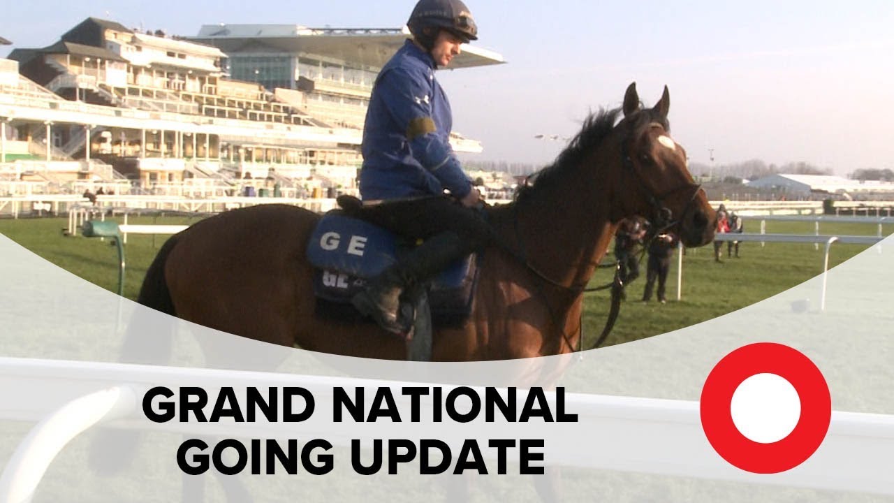 Grand National 2019: Andrew Tulloch with a going update and his hopes ...