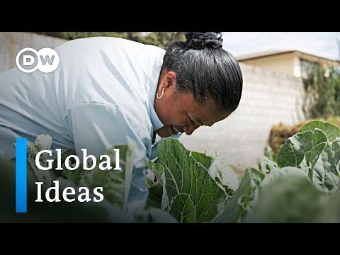 Ecuador: Stadtgärten in Quito helfen gegen den Hunger | Global Ideas