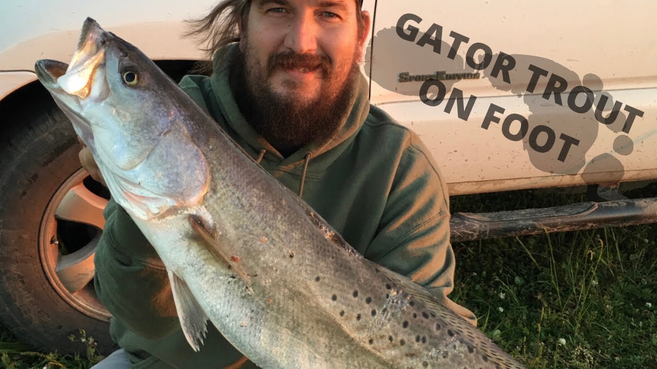 Catching Gator Trout on Foot - YouTube