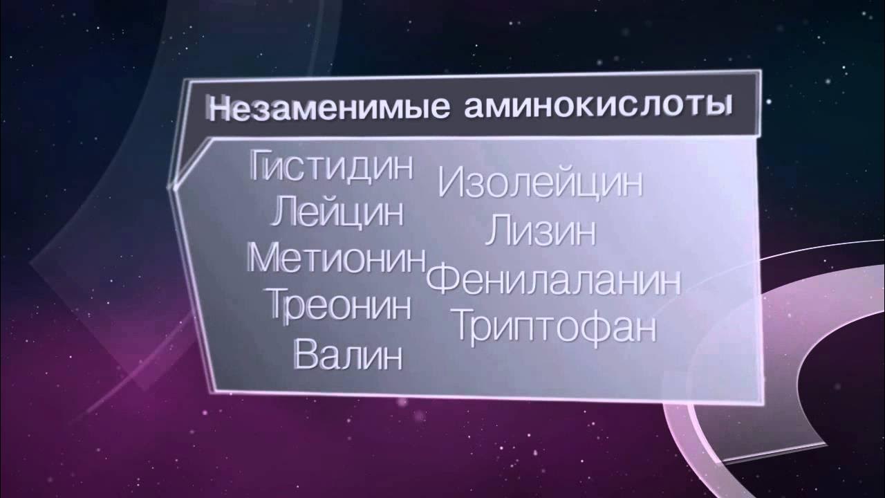 Спортивное питание. Аминокислоты - YouTube