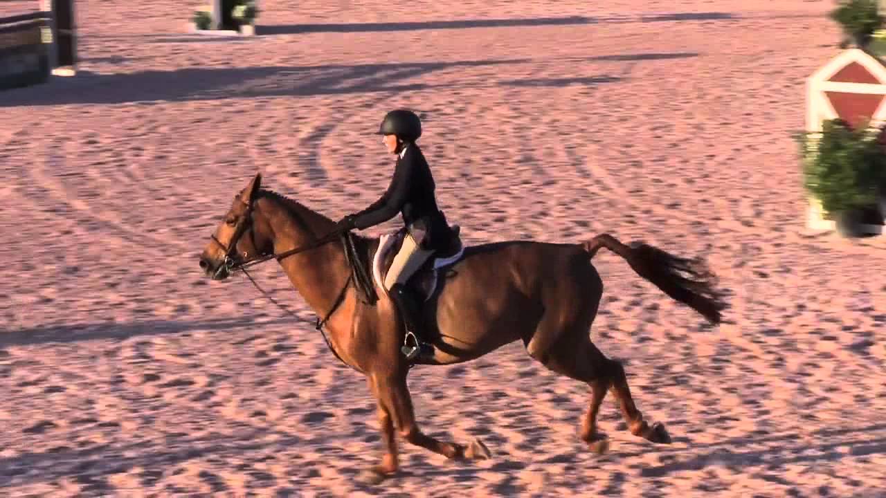 Hannah Patten- WEF 2015 - YouTube