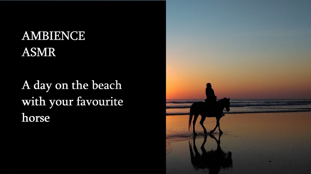 Horse beach ride asmr ambience 말 비치 타기 ASMR 분위기 - YouTube