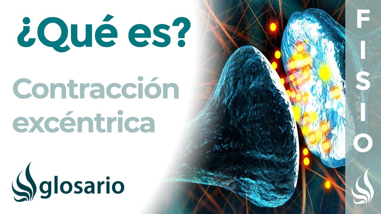 CONTRACCIÓN EXCÉNTRICA | Qué es, cómo y dónde se produce, cuál es su ...