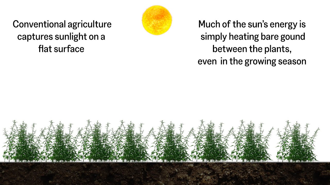 New Foundation Farms model of sunlight capture - YouTube