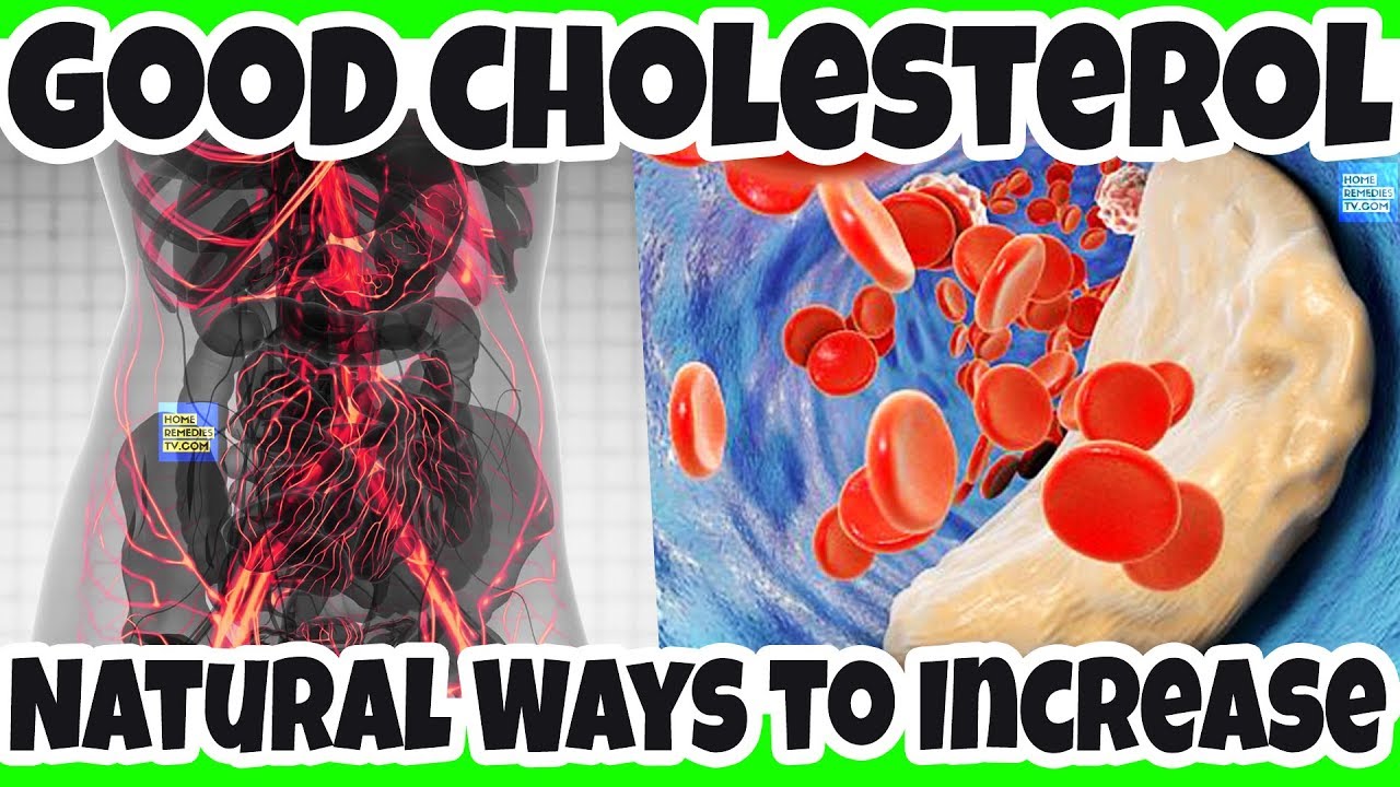 How To Boost Your Good Cholesterol Improve Hdl Cholesterol To Reduce
