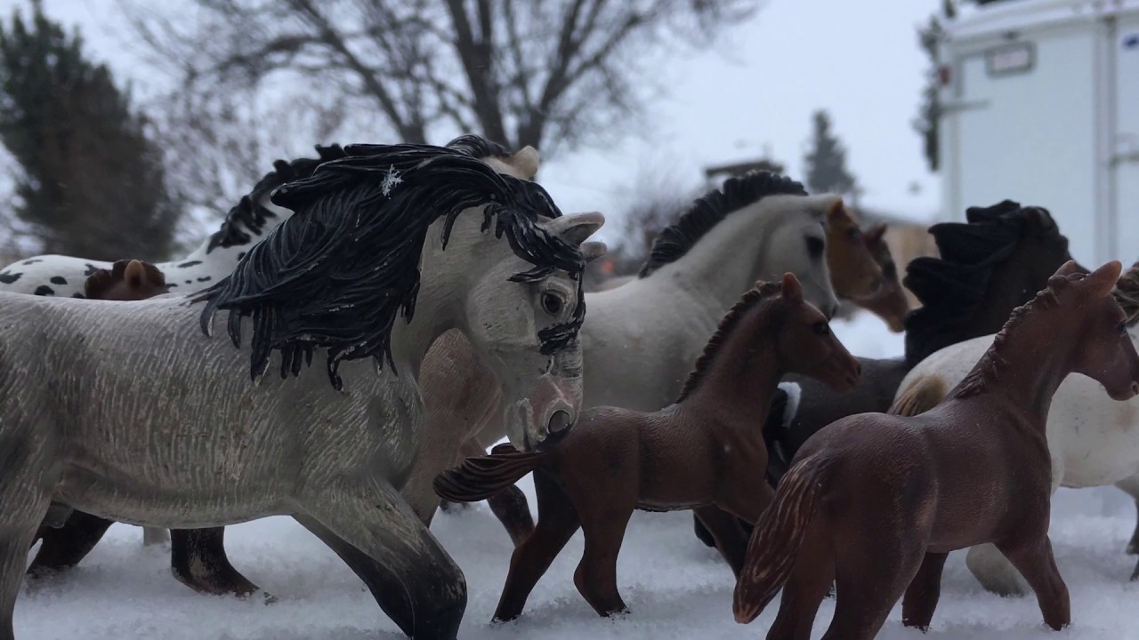 Schleich Photography - YouTube