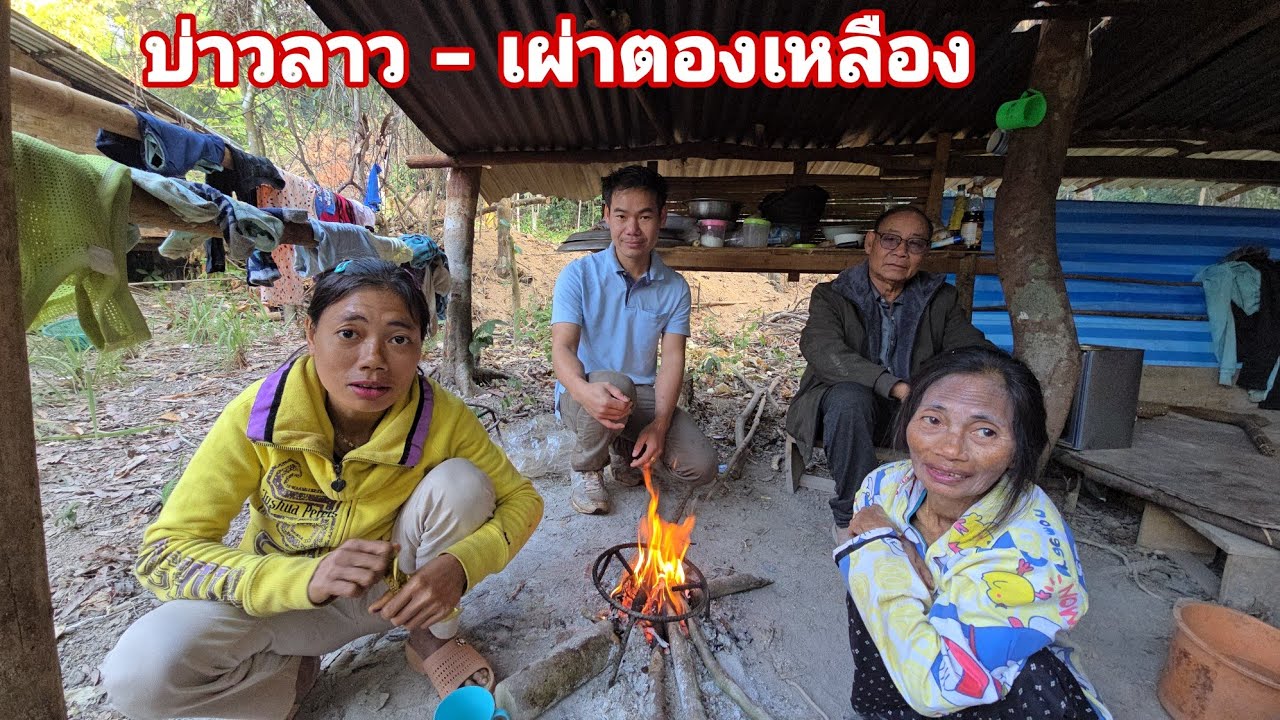 พ่อของบ่าวสุขพาลูกชายมาขอสาวลีเพื่อให้เป็นลูกสะใภ้ คนป่า ตองเหลือง ...