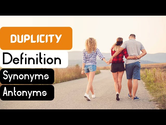 Duplicity Definition