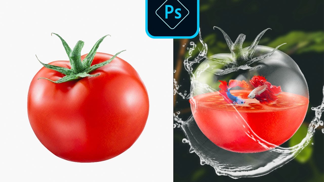 Transparent Tomato Manipulation in Adobe Photoshop Tutorial cs6 2023 ...