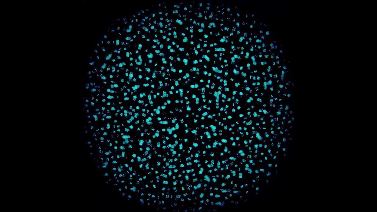 1 million particles in Unity using compute shaders - YouTube