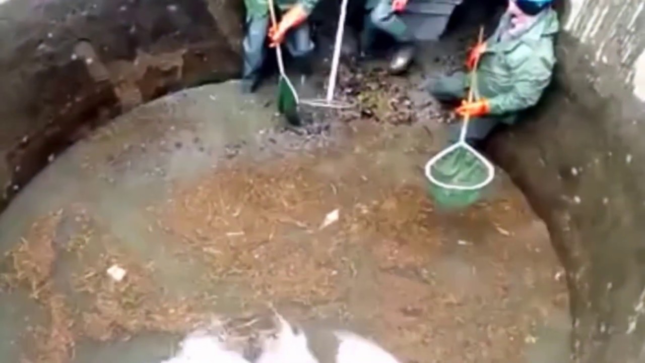 Asian fishing techniques #1 - YouTube