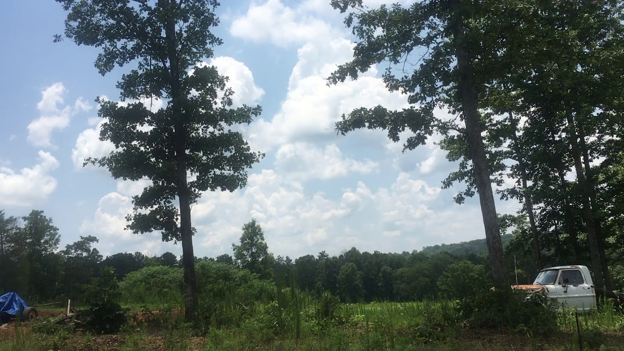 Relaxing Country Sounds - YouTube