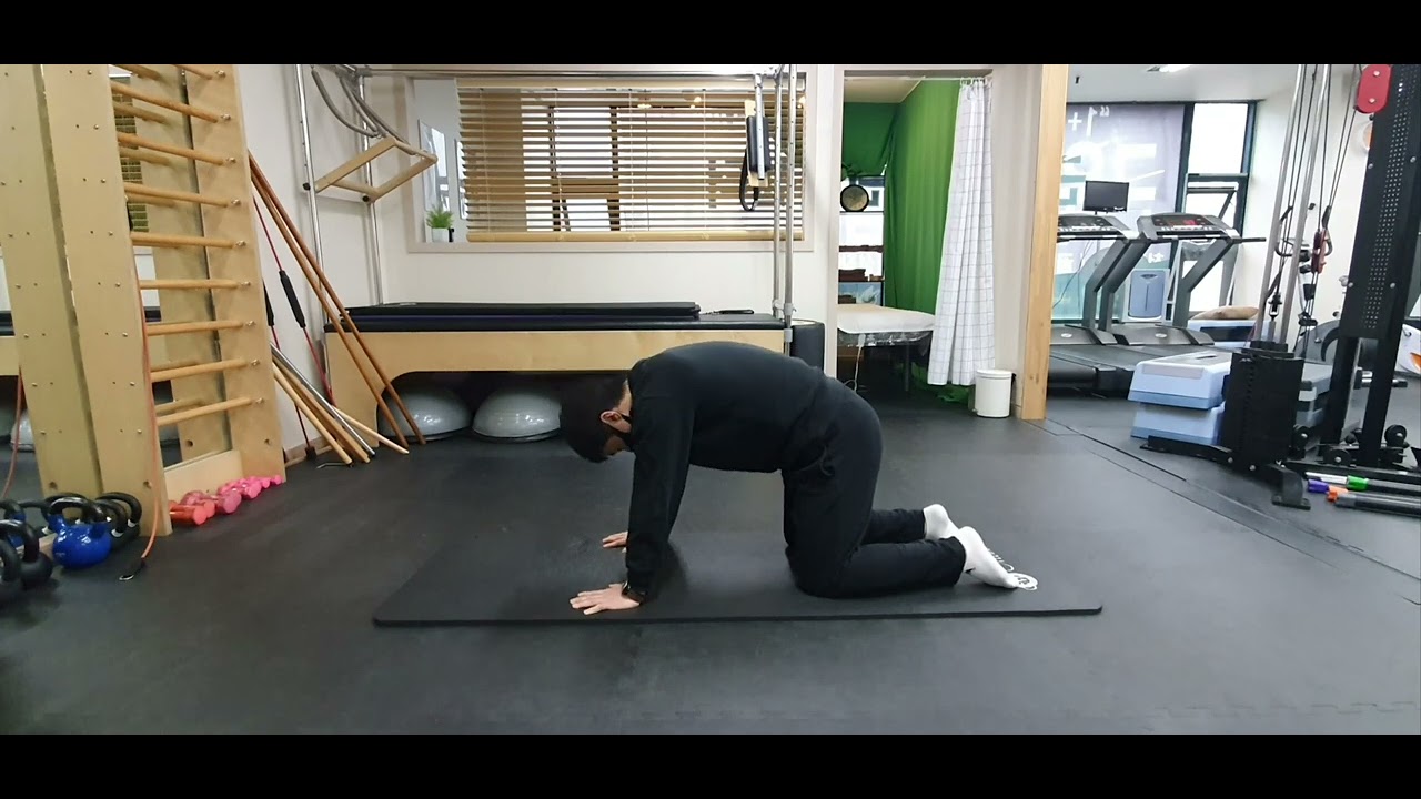 고양이,소자세-Cat Cow - YouTube