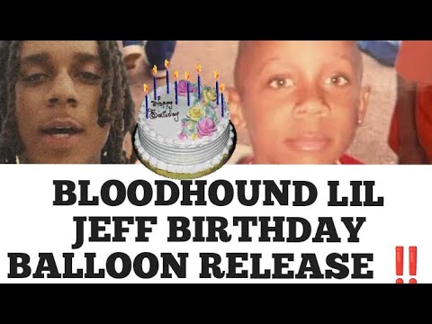 Bloodhound Lil Jeff First Birthday Since He Was Killed Was Today, His ...