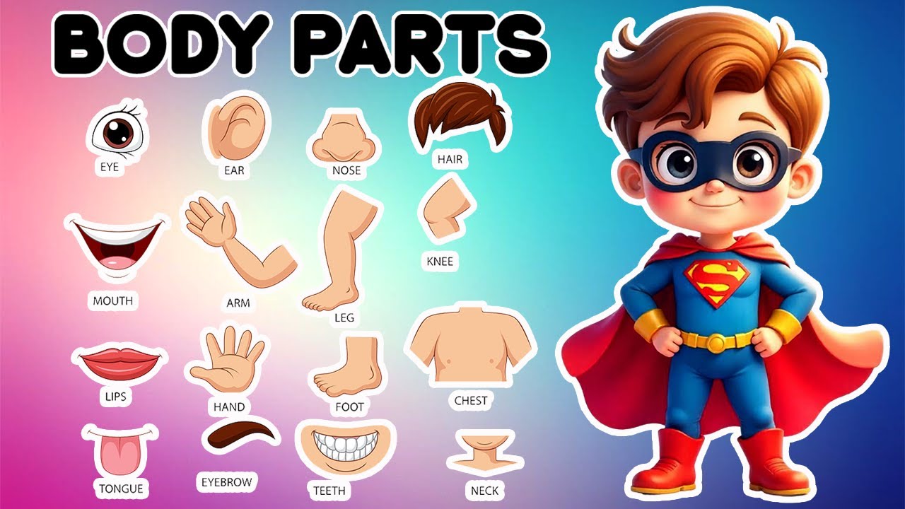 Body Parts | Baby Cartoon | Kids Songs | Educational Toddler Learning ...
