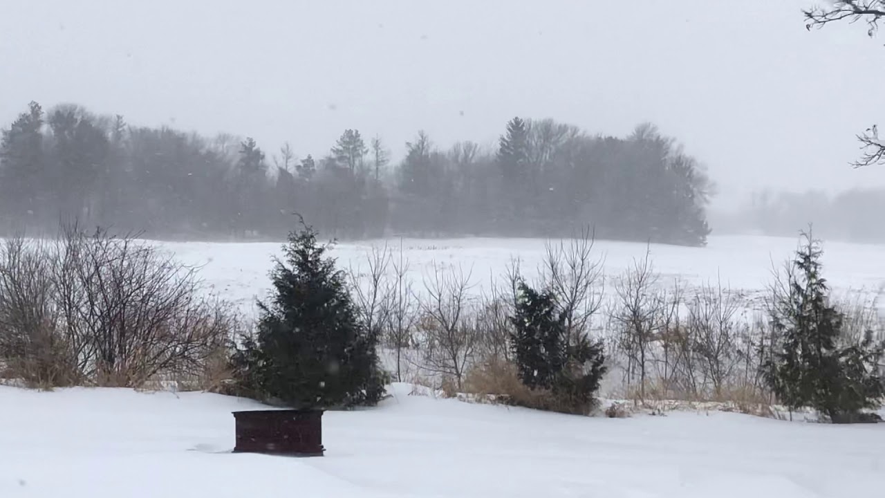 Winter Storm Jan 2020 - YouTube