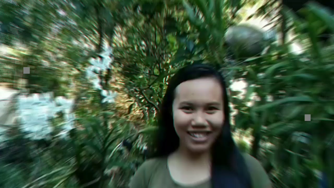 Mathematical Patterns In Nature YouTube mathematical-patterns-in-nature-youtube