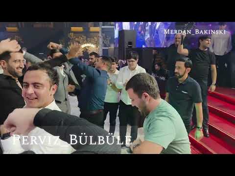 PƏRVİZ BÜLBÜLƏ -PAPURİ  2025 