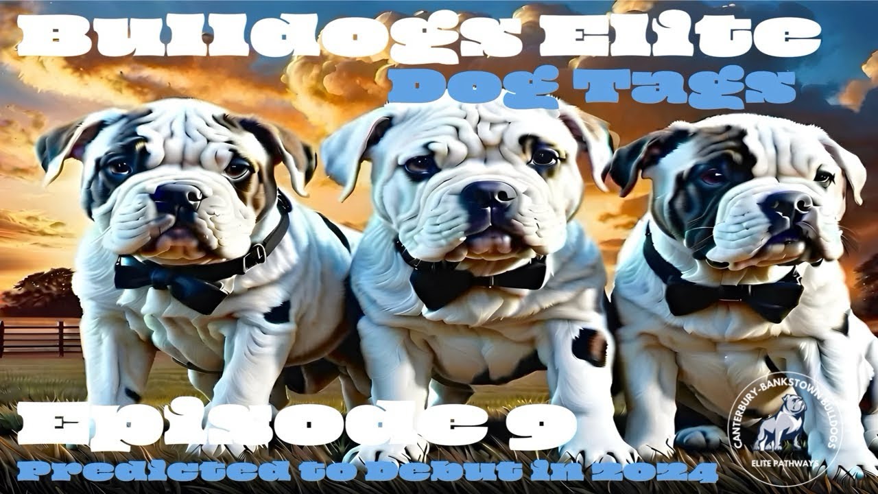 Bulldogs Elite - Dog Tags Episode 9 - YouTube