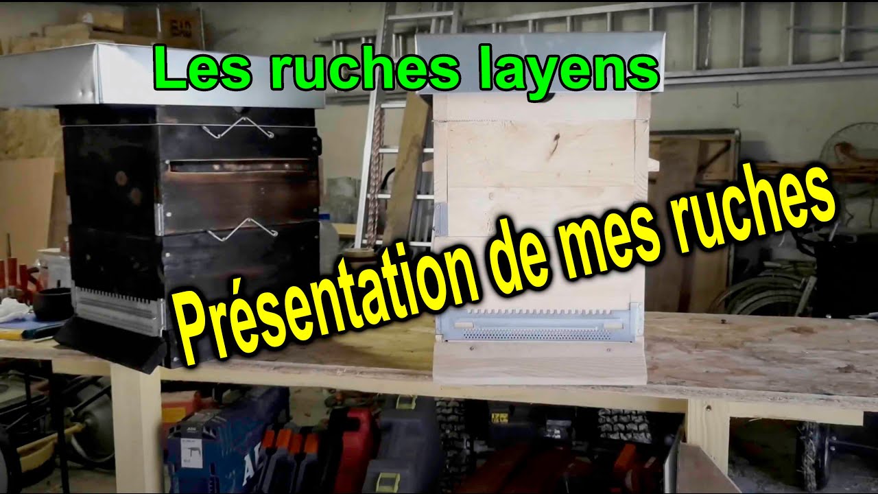 Présentation de la ruche Layens - YouTube