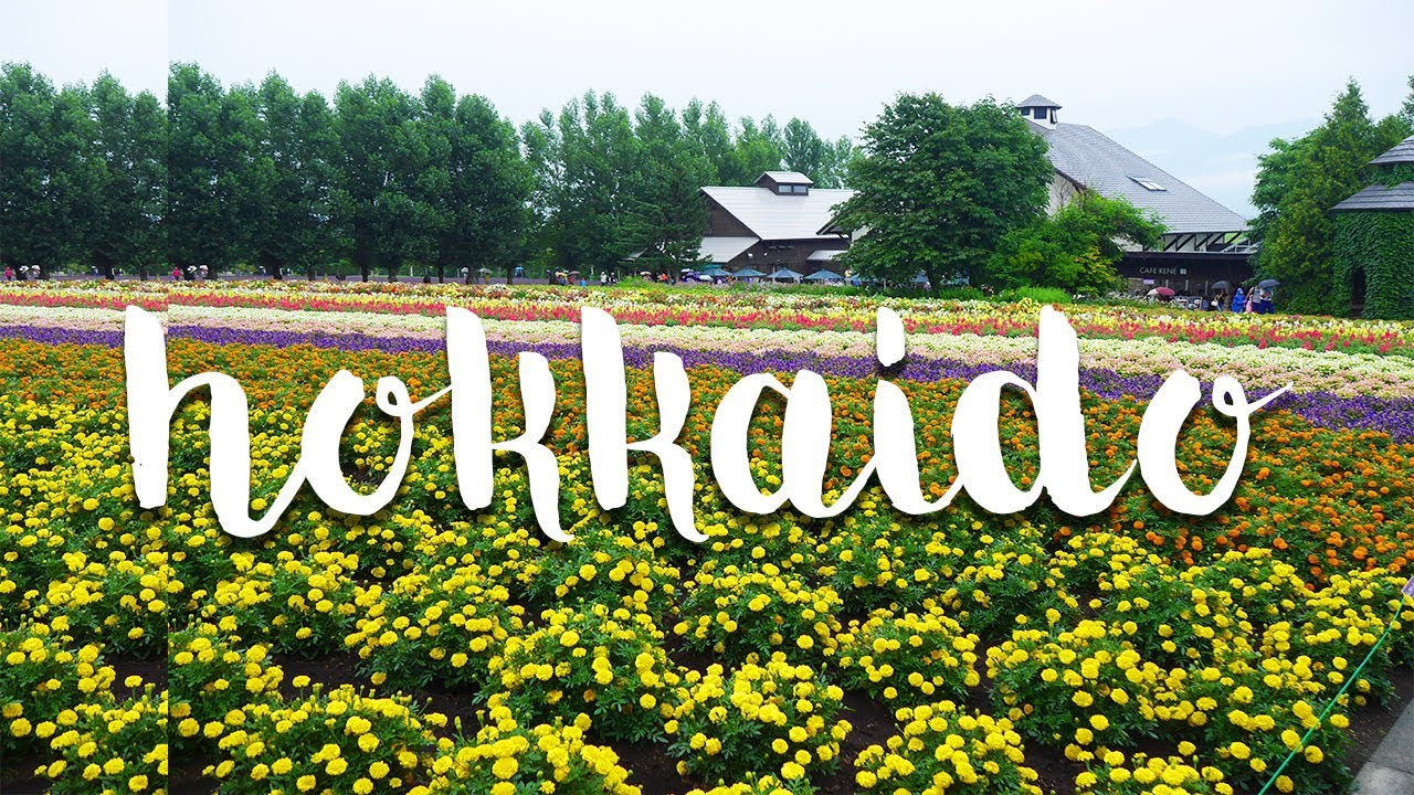 Hokkaido Travel 北海道旅遊，景點 MyKelsey - YouTube