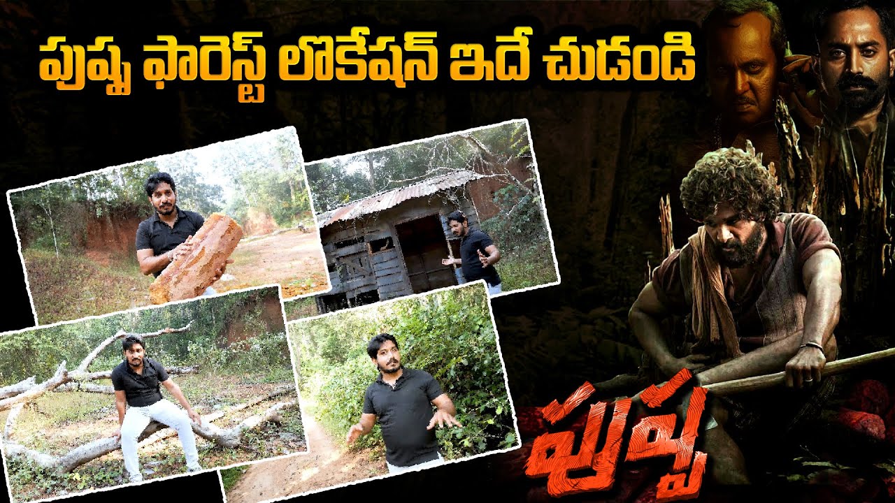 Pushpa Movie Forest Location | Allu Arjun Pushpa Movie Shooting ...