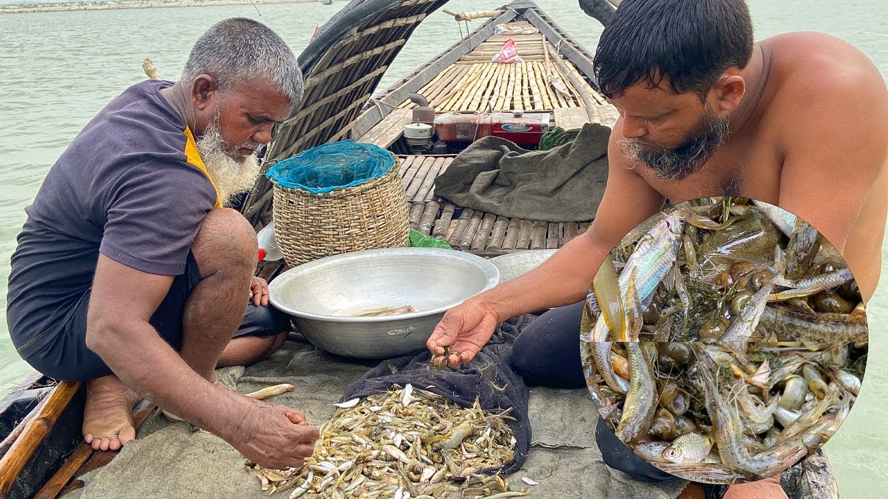 Fishing In Padma River - River People Give Huge Effort To Get Small Amount Fish - Expensive Fish ...
