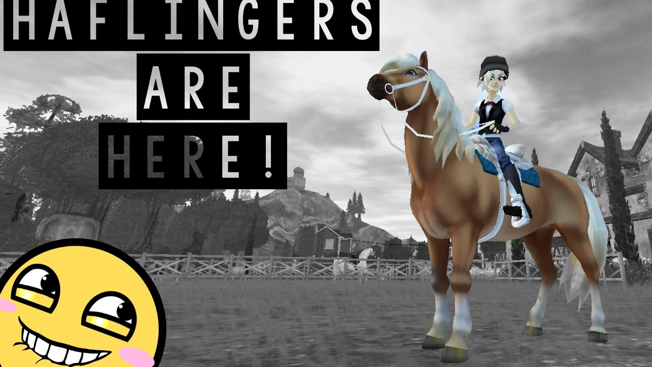 [SSO] NEW HAFLINGER HORSES! - YouTube